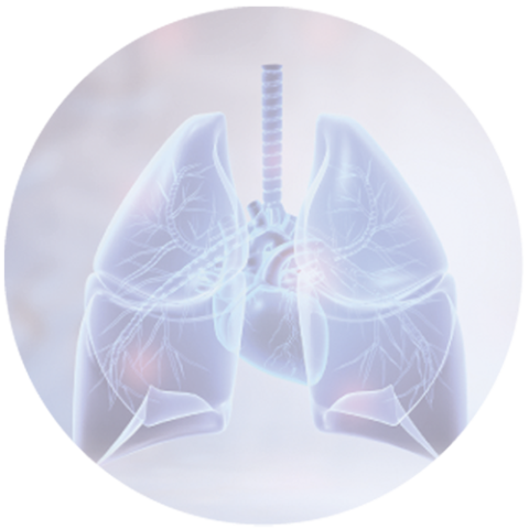 Bronchial Challenge Test Provocholine And Aridol - Methapharm Respiratory