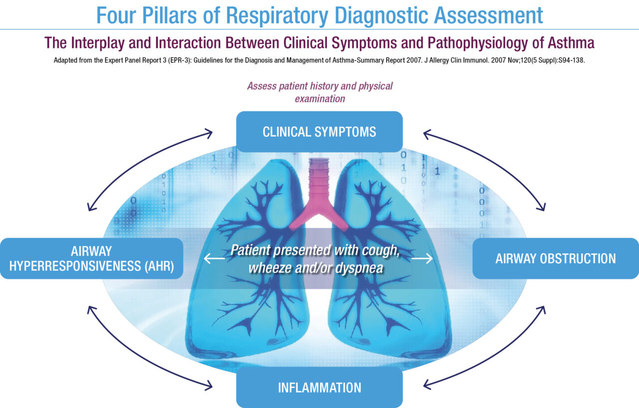 The Four Pillars Of Asthma Diagnosis And Management - Methapharm ...
